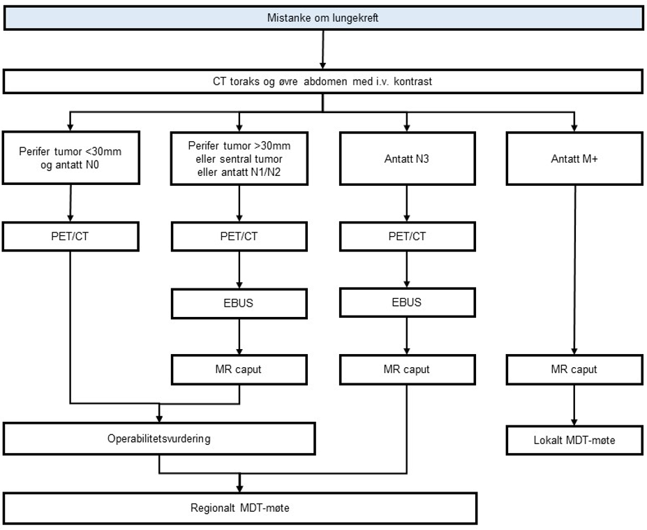 Oversikt utredning av lungekreft i spesialisthelsetjenesten - Helsedirektoratet